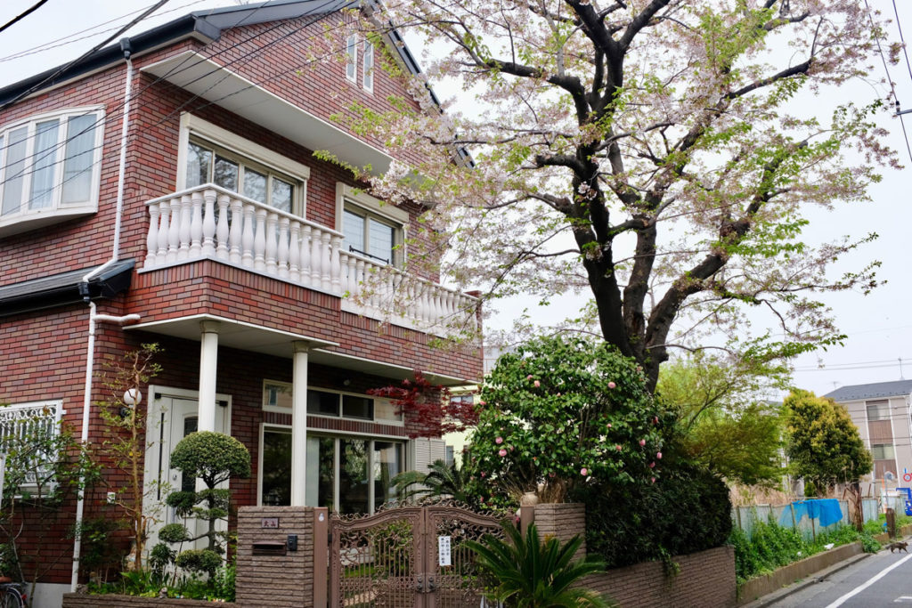 A cherry blossom tree after trimming | 中山諒二造園設計 / Ryoji Nakayama ...