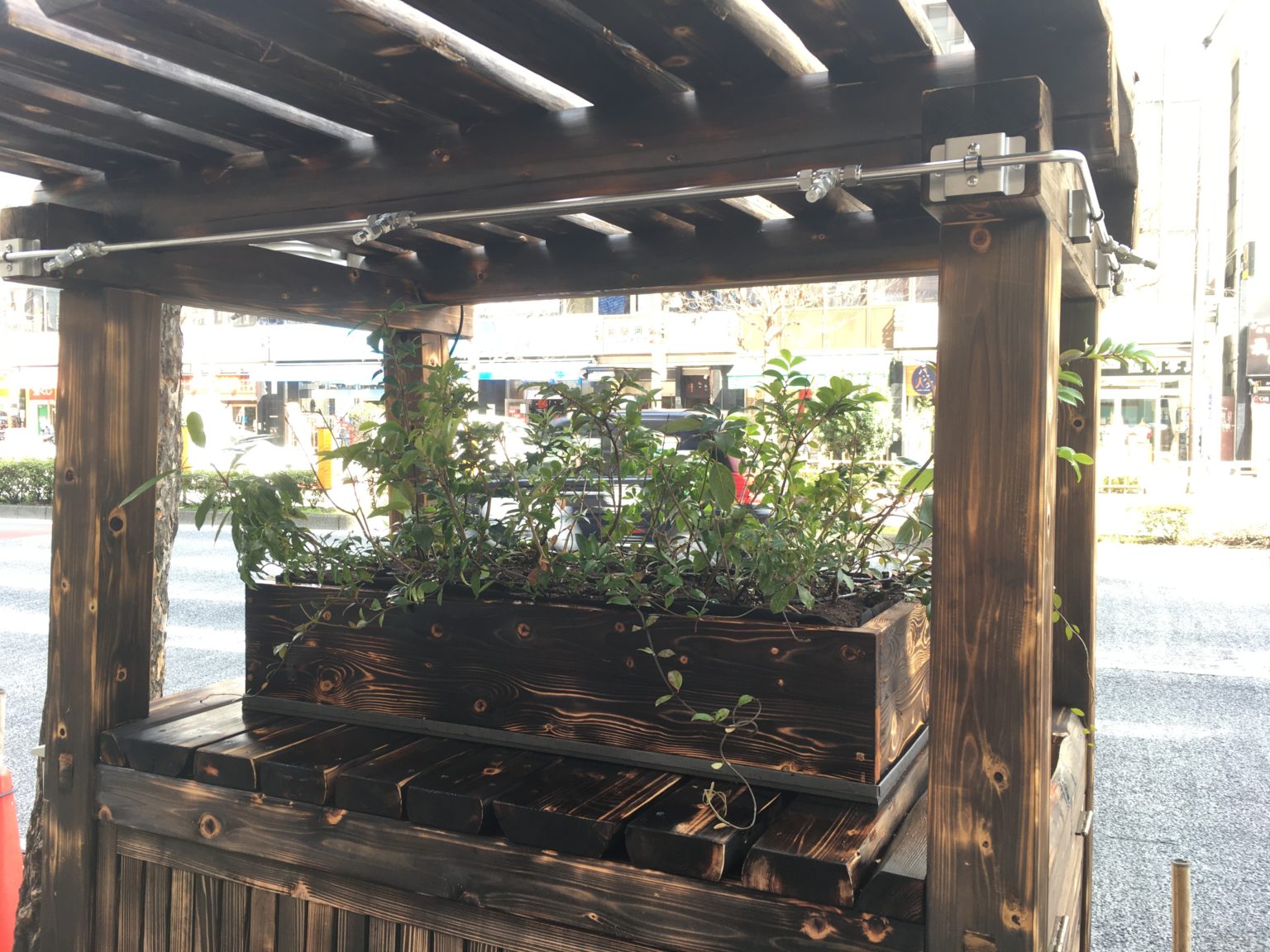 Planting and installing an automatic watering system for the mist bench ...